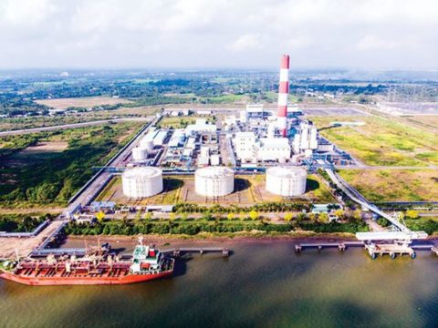 News And Insights - Delta Offshore Energy